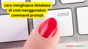 cara menghapus database di cmd menggunakan command prompt | WARTA BANGIL